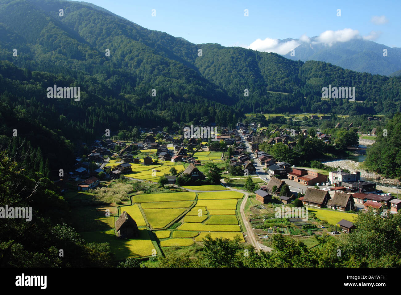 View of Rice Field and Japanese Traditional House Stock Photo - Alamy