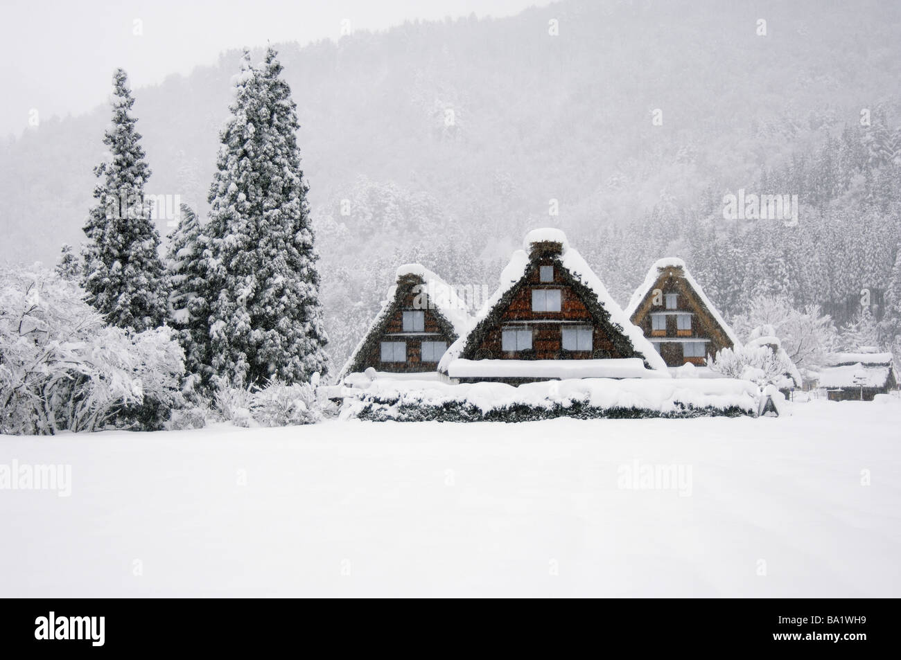 View of Japanese Snow Covered House and Trees Stock Photo - Alamy