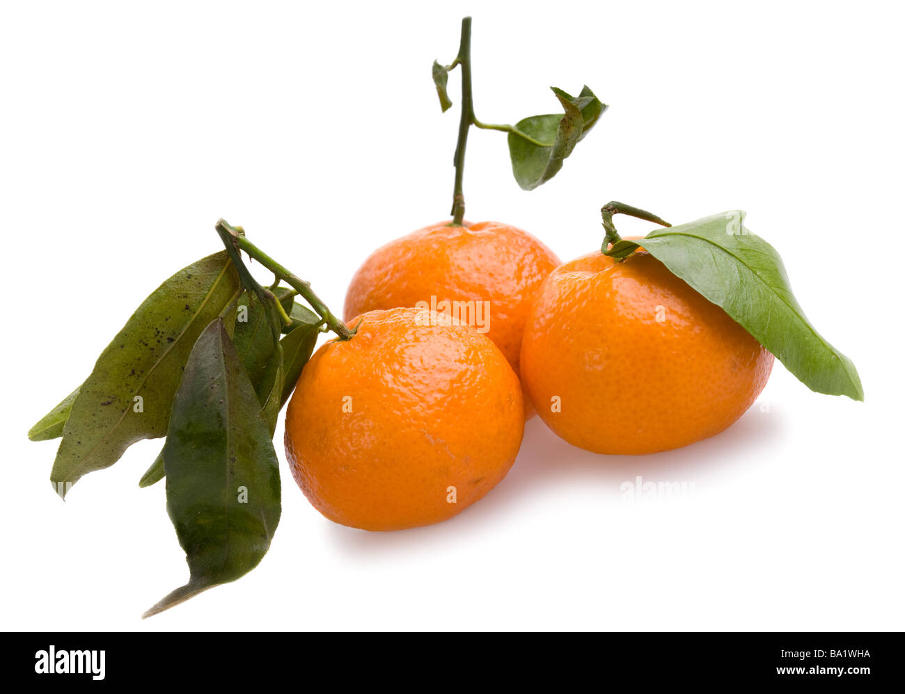 three tangerines macro isolated on white background Stock Photo - Alamy