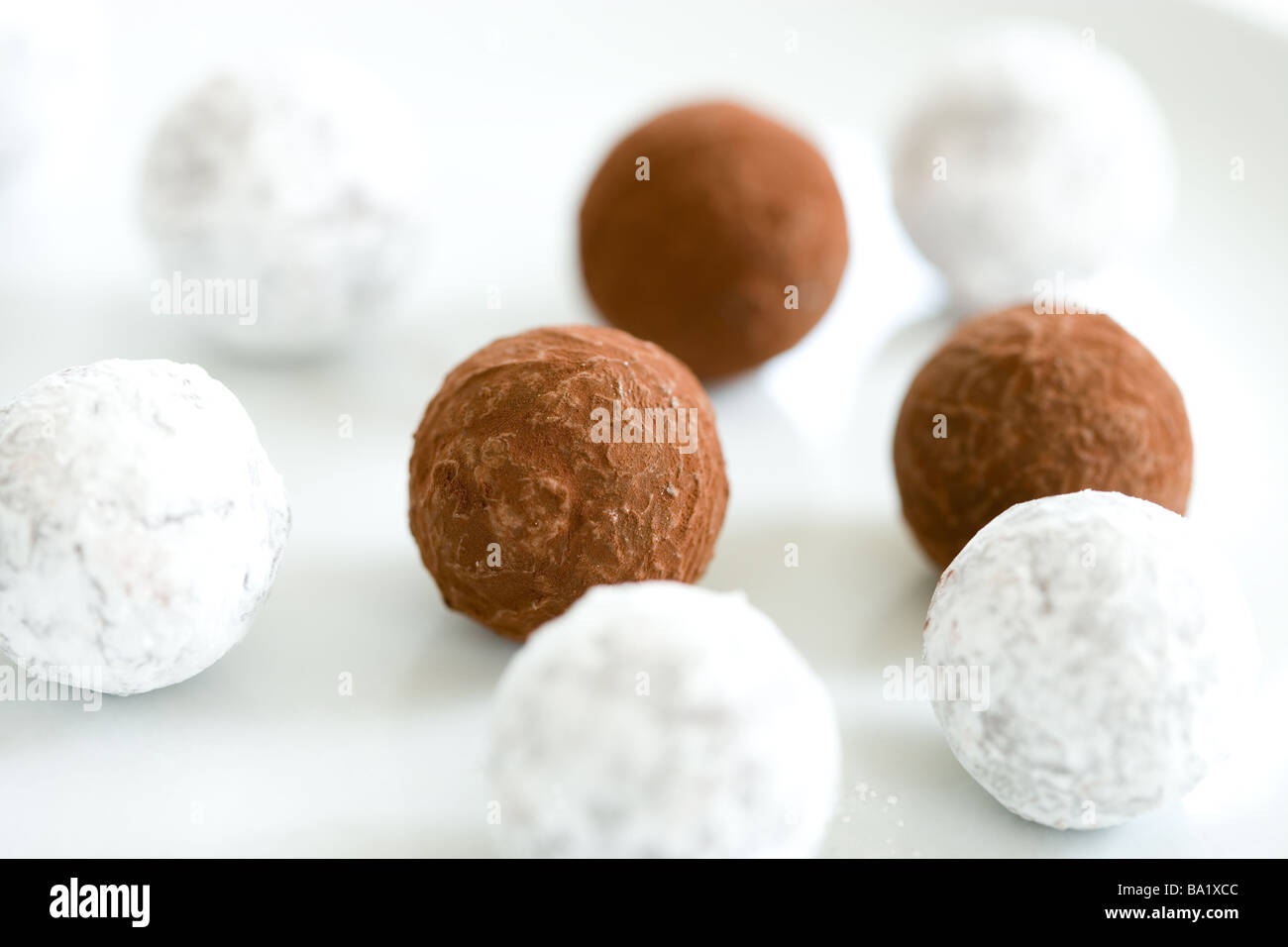 Chocolate Truffle on White Background Stock Photo - Alamy