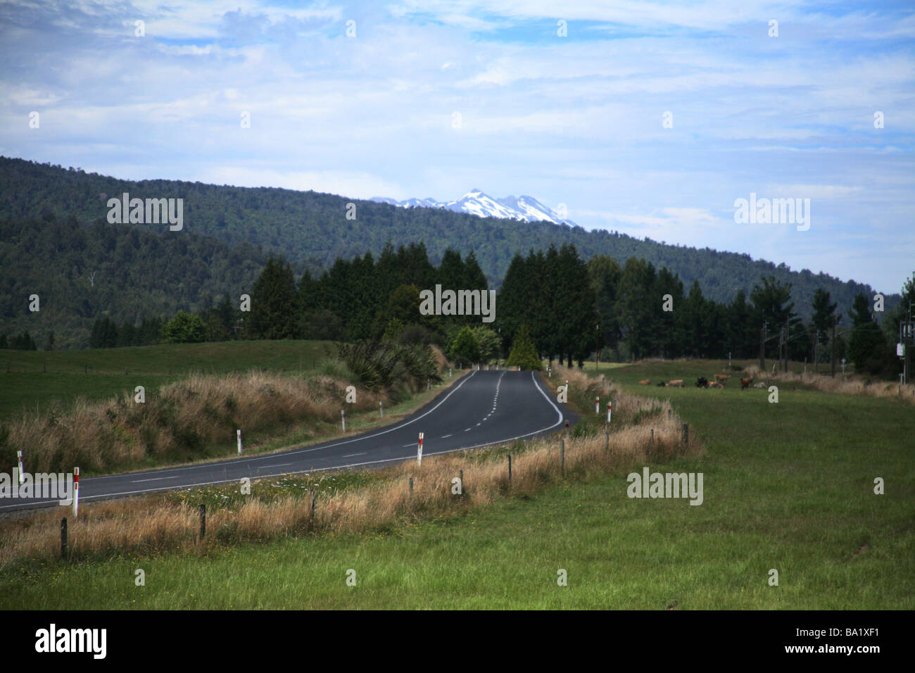 Tranz alpine train new zealand hi-res stock photography and images - Alamy