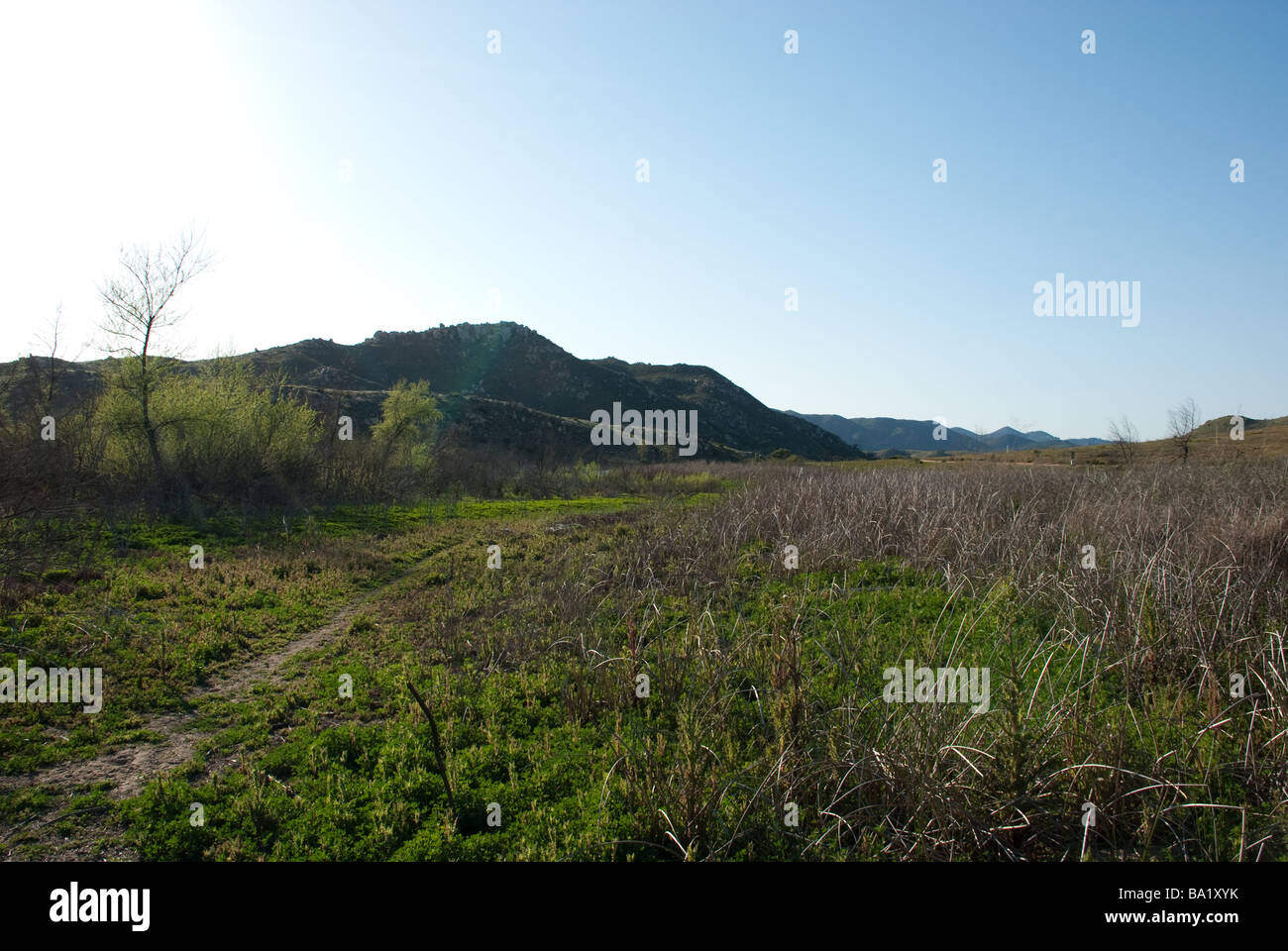 landscape of the mount and grass Stock Photo - Alamy