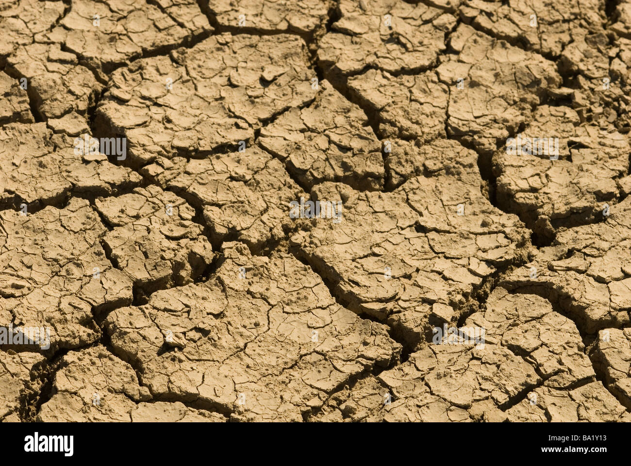 Meteorological drought hi-res stock photography and images - Alamy