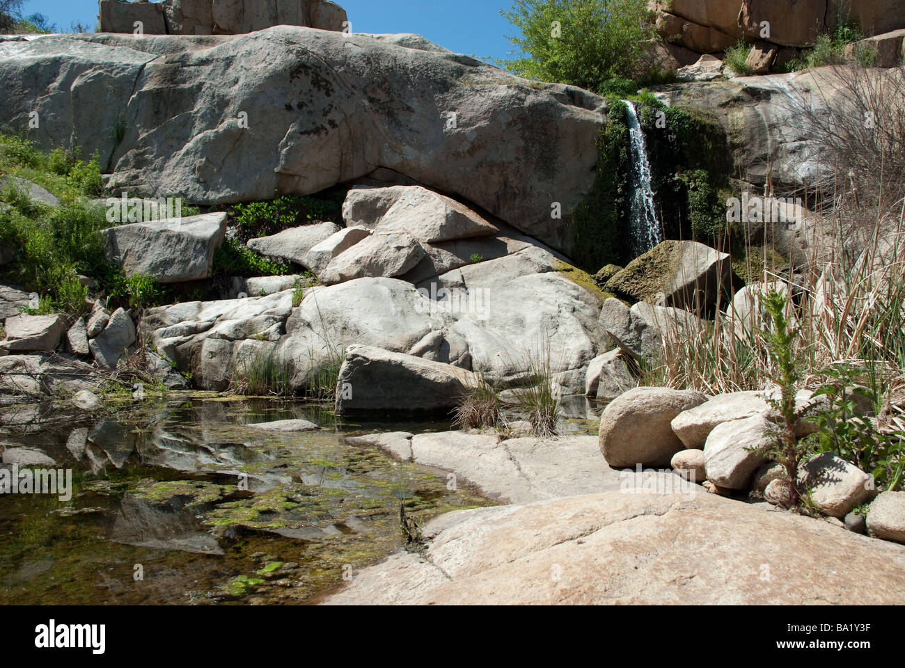 Small waterfall trickles into the pond Stock Photo - Alamy