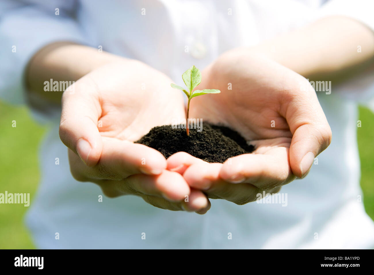 Hands holding plant sprouting hi-res stock photography and images - Alamy