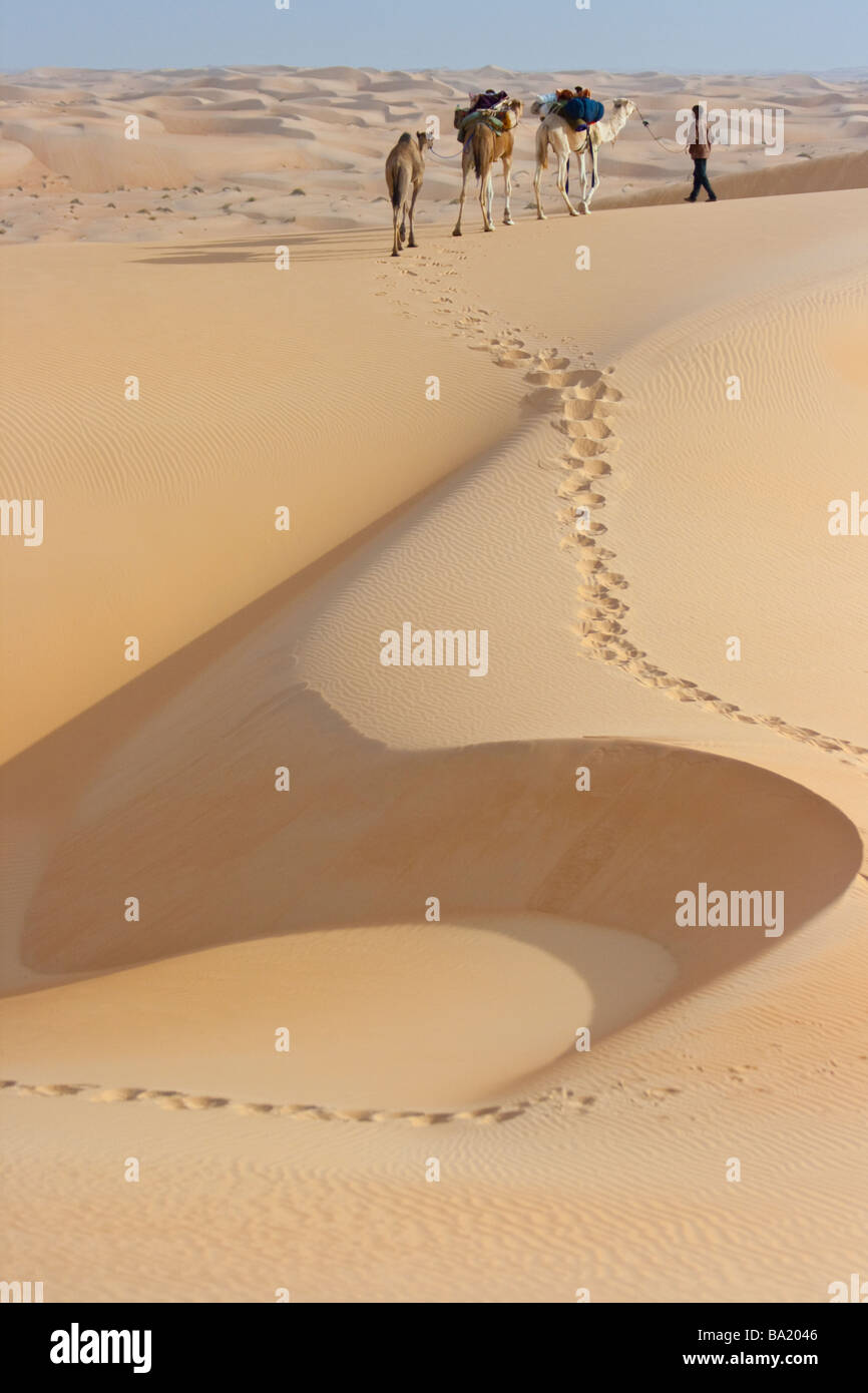 Camel Caravan in the Sand Dunes of the Sarhara Desert near Chinguetti ...
