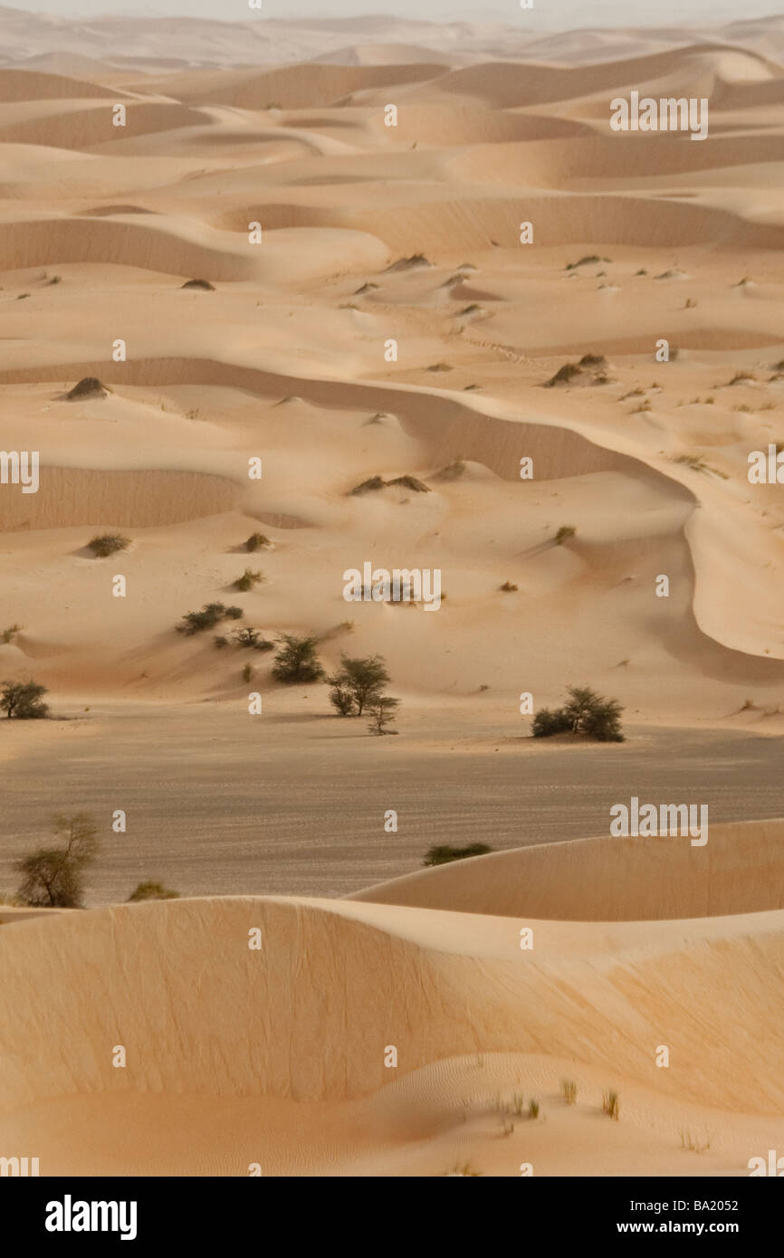 Sand Dunes of the Sahara Desert near Chinguetti Mauritania Stock Photo ...