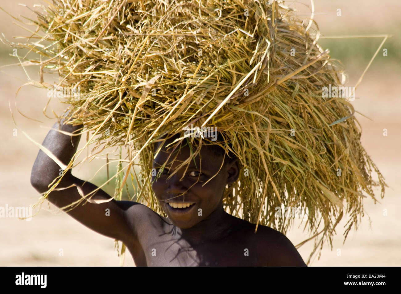 Young Malian boy carrying straw on his head in Djenne Mali Stock Photo ...