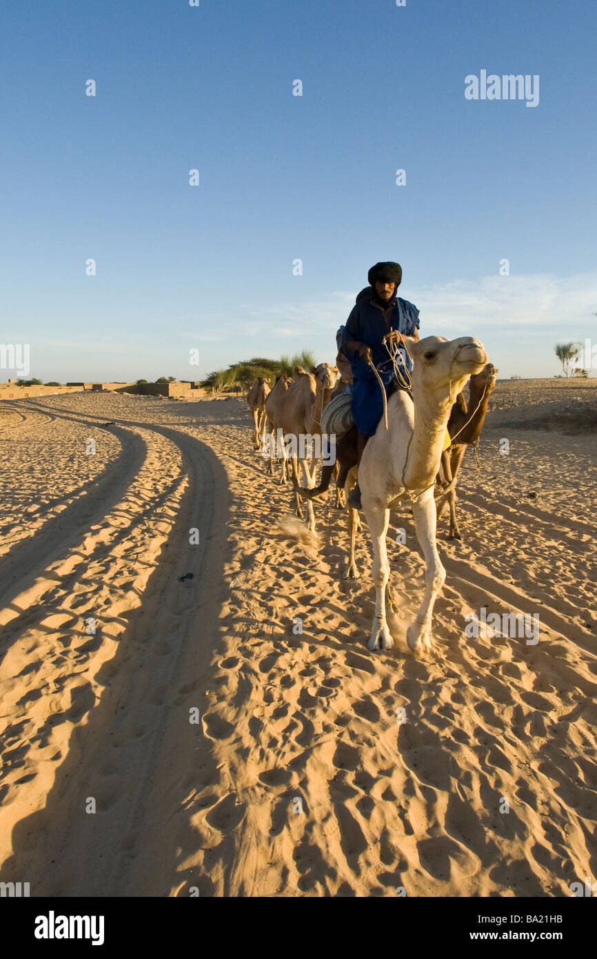 Touareg Camel Caravan in the Desert just outside Timbuktu Mali Stock ...