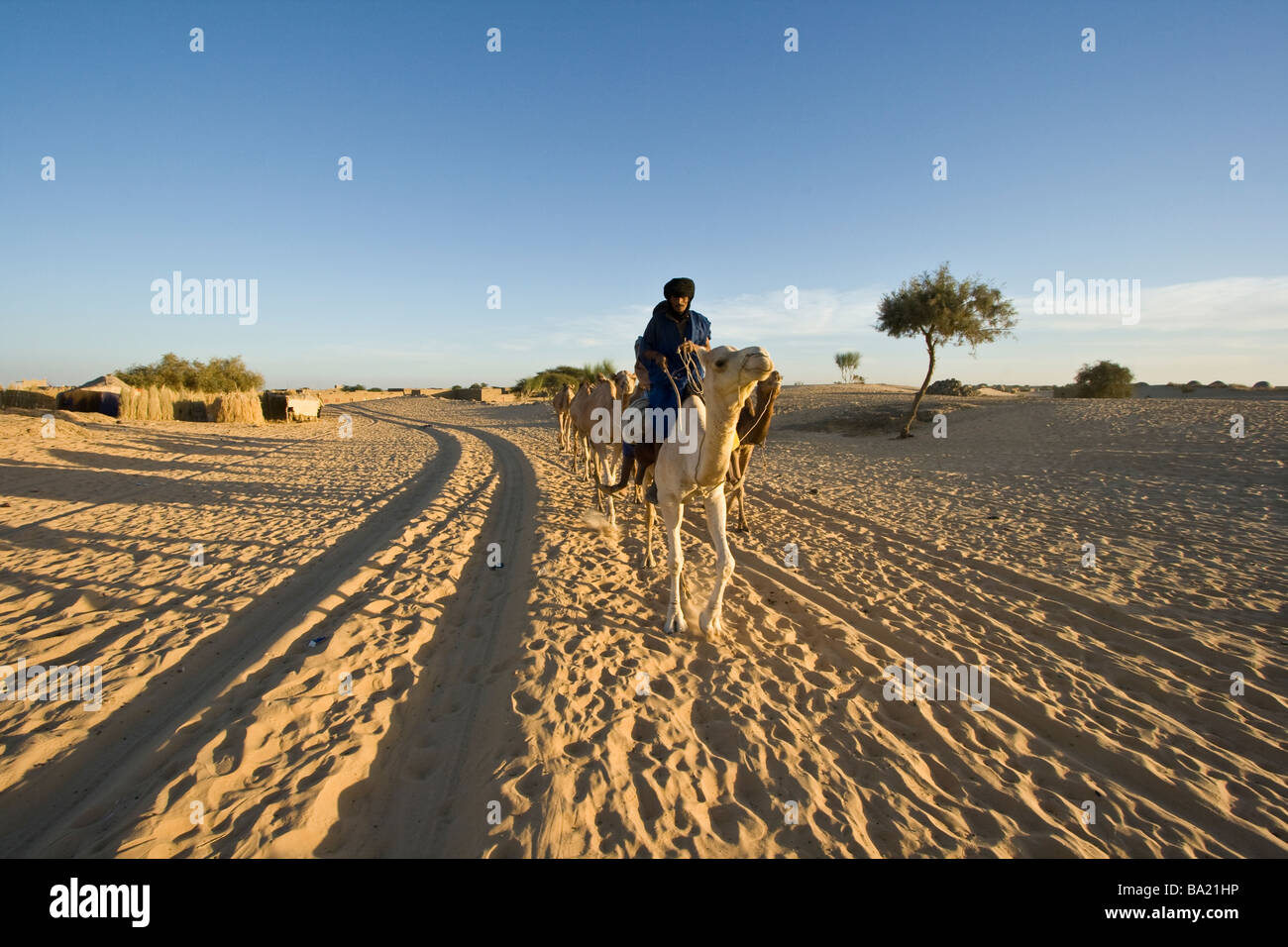 Touareg Camel Caravan in the Desert just outside Timbuktu Mali Stock ...