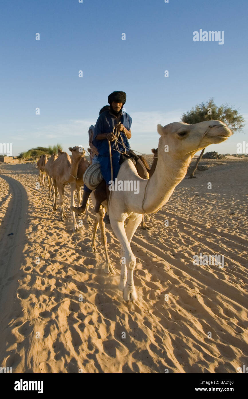 Touareg Camel Caravan in the Desert just outside Timbuktu Mali Stock ...