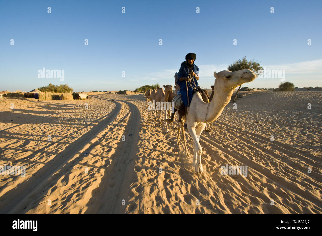 Touareg Camel Caravan in the Desert just outside Timbuktu Mali Stock ...