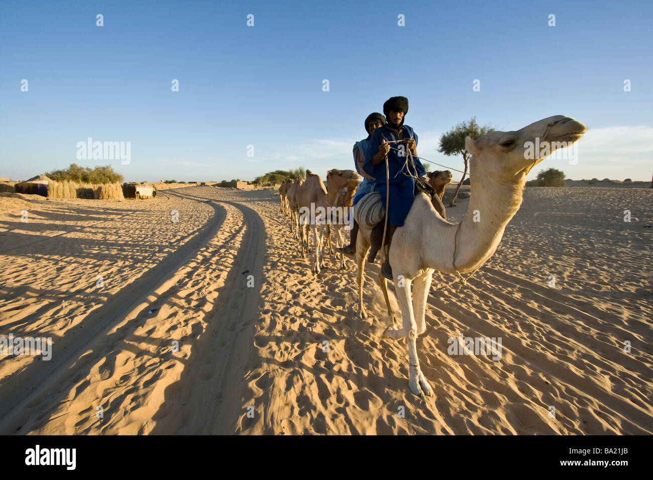 Touareg Camel Caravan in the Desert just outside Timbuktu Mali Stock ...