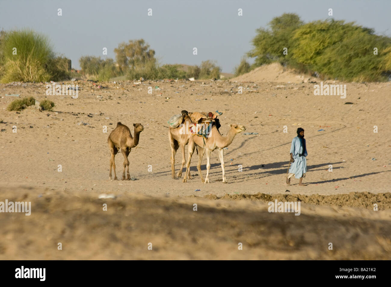 Touareg Camel Caravan in the Desert just outside Timbuktu Mali Stock ...