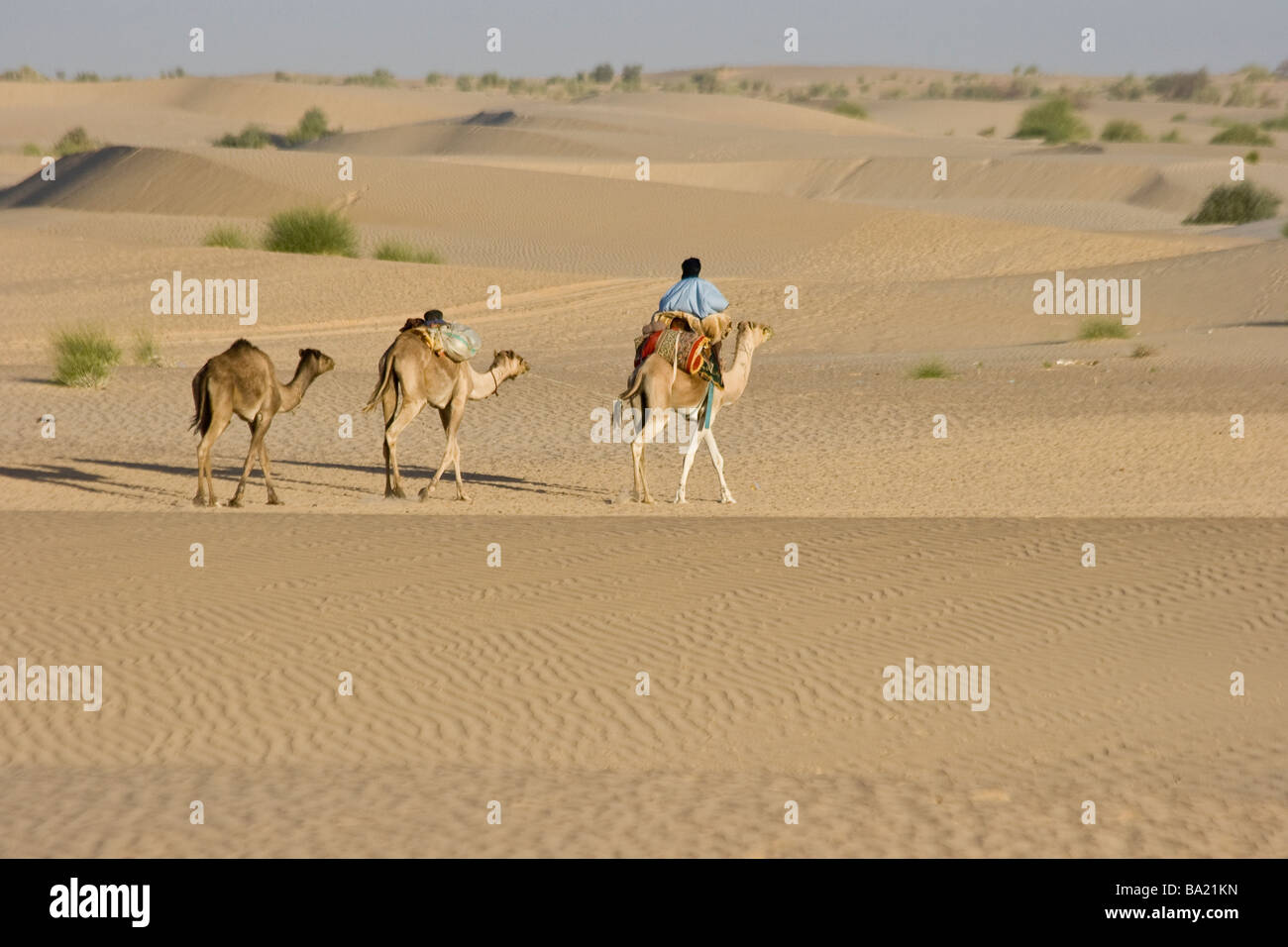 Touareg Camel Caravan in the Desert just outside Timbuktu Mali Stock ...