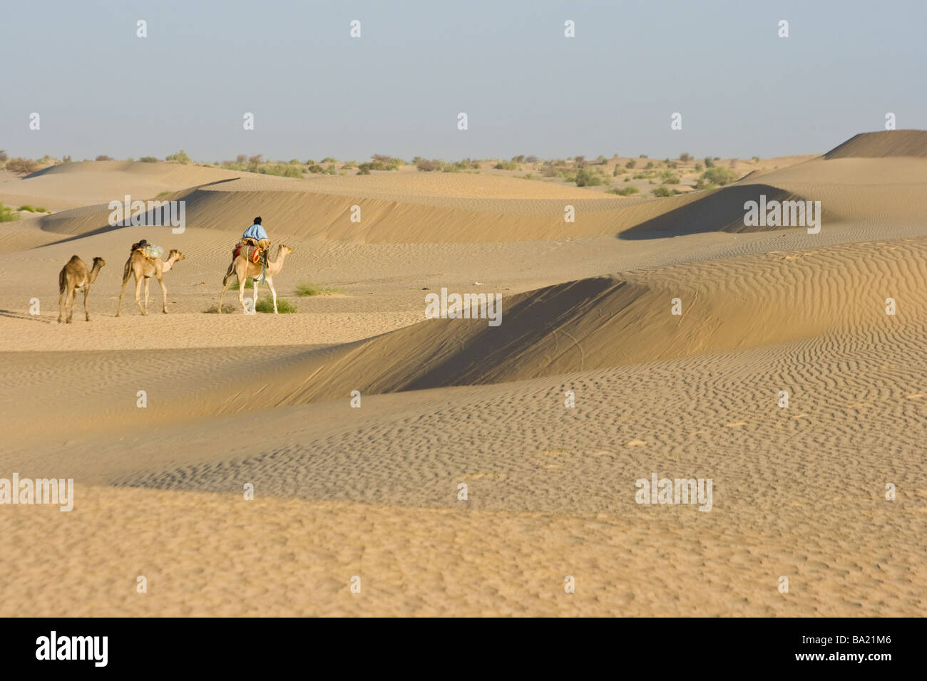 Touareg Camel Caravan in the Desert just outside Timbuktu Mali Stock ...
