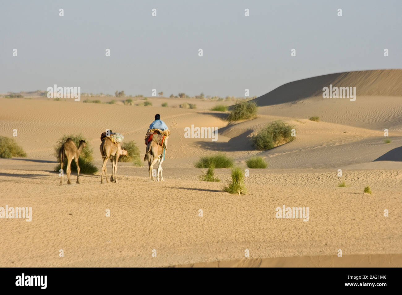 Touareg Camel Caravan in the Desert just outside Timbuktu Mali Stock ...