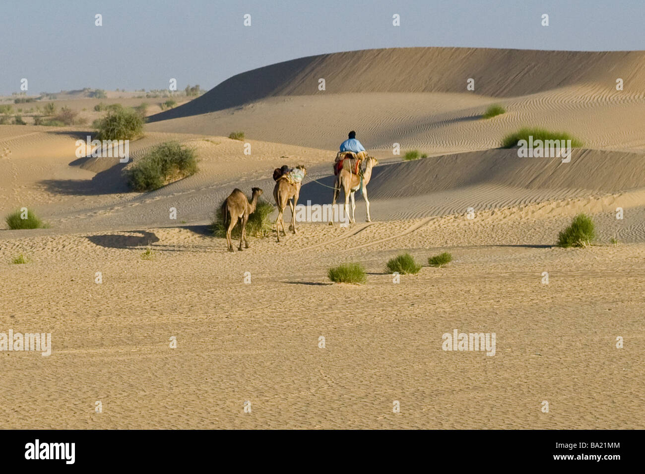 Touareg Camel Caravan in the Desert just outside Timbuktu Mali Stock ...