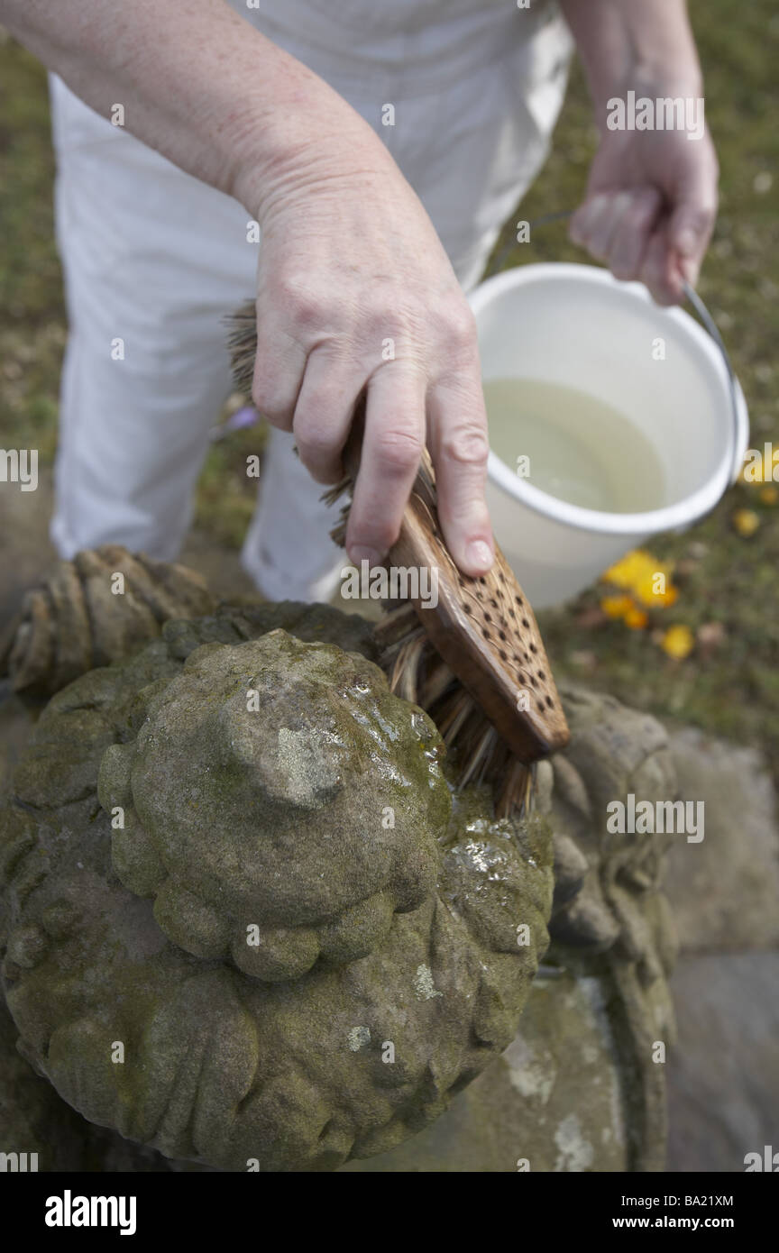 Root brushes hi-res stock photography and images - Alamy