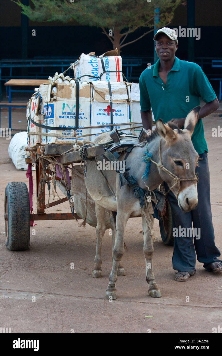 Donkey carrying cart in hi-res stock photography and images - Alamy