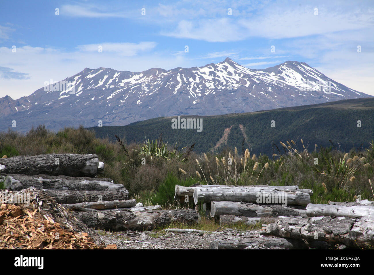 Mount Ruapahu from the overlander train at national park staion ...
