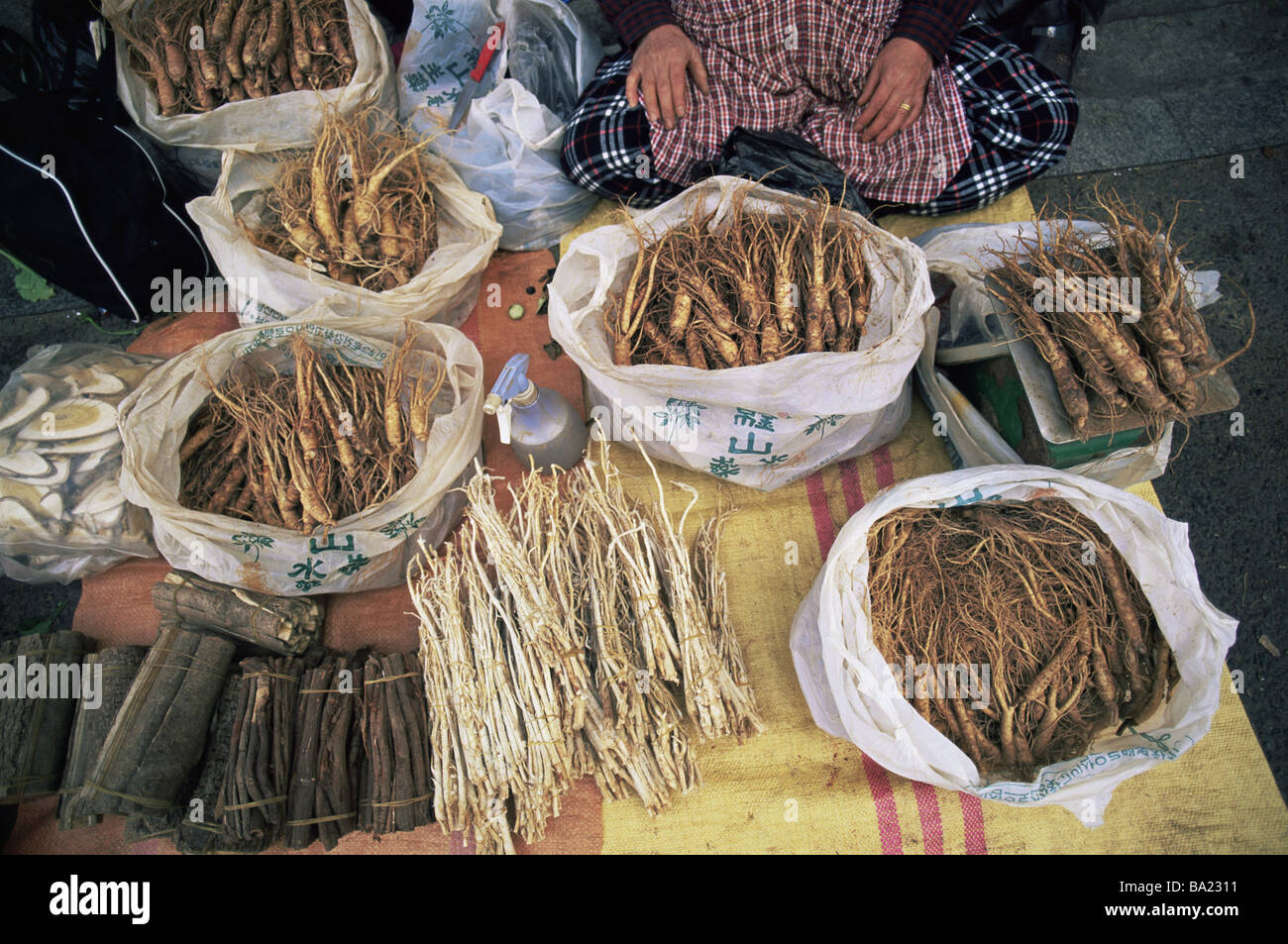 Panax quinquefolium roots hi-res stock photography and images - Alamy