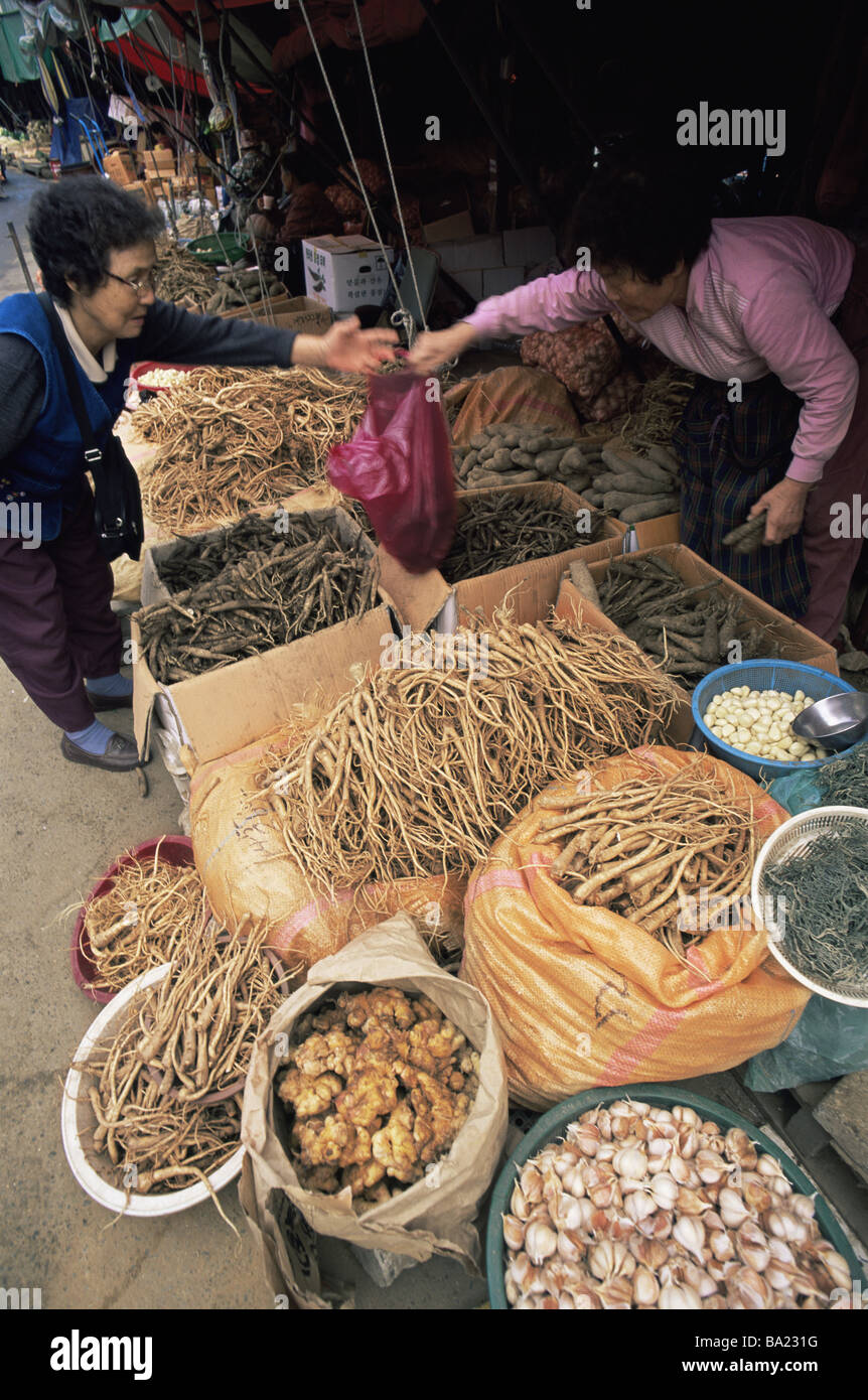 Panax quinquefolium ginseng hi-res stock photography and images - Alamy