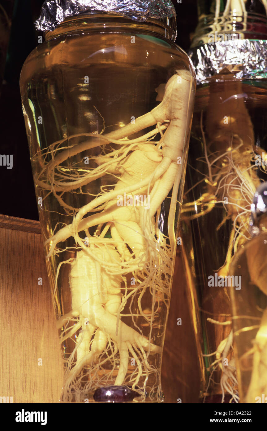 Panax quinquefolium roots hi-res stock photography and images - Alamy