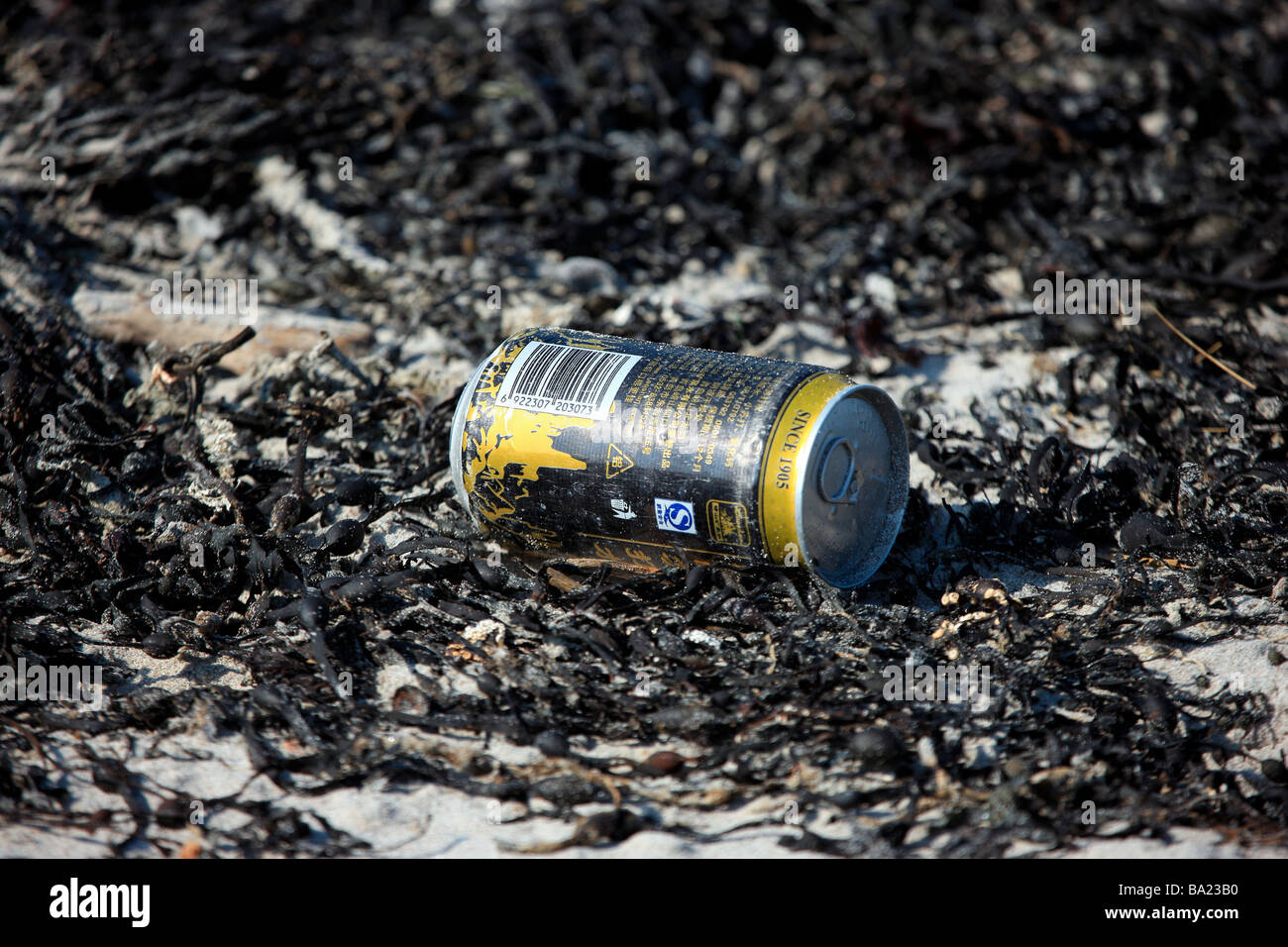 Flotsam and jetsam hi-res stock photography and images - Alamy