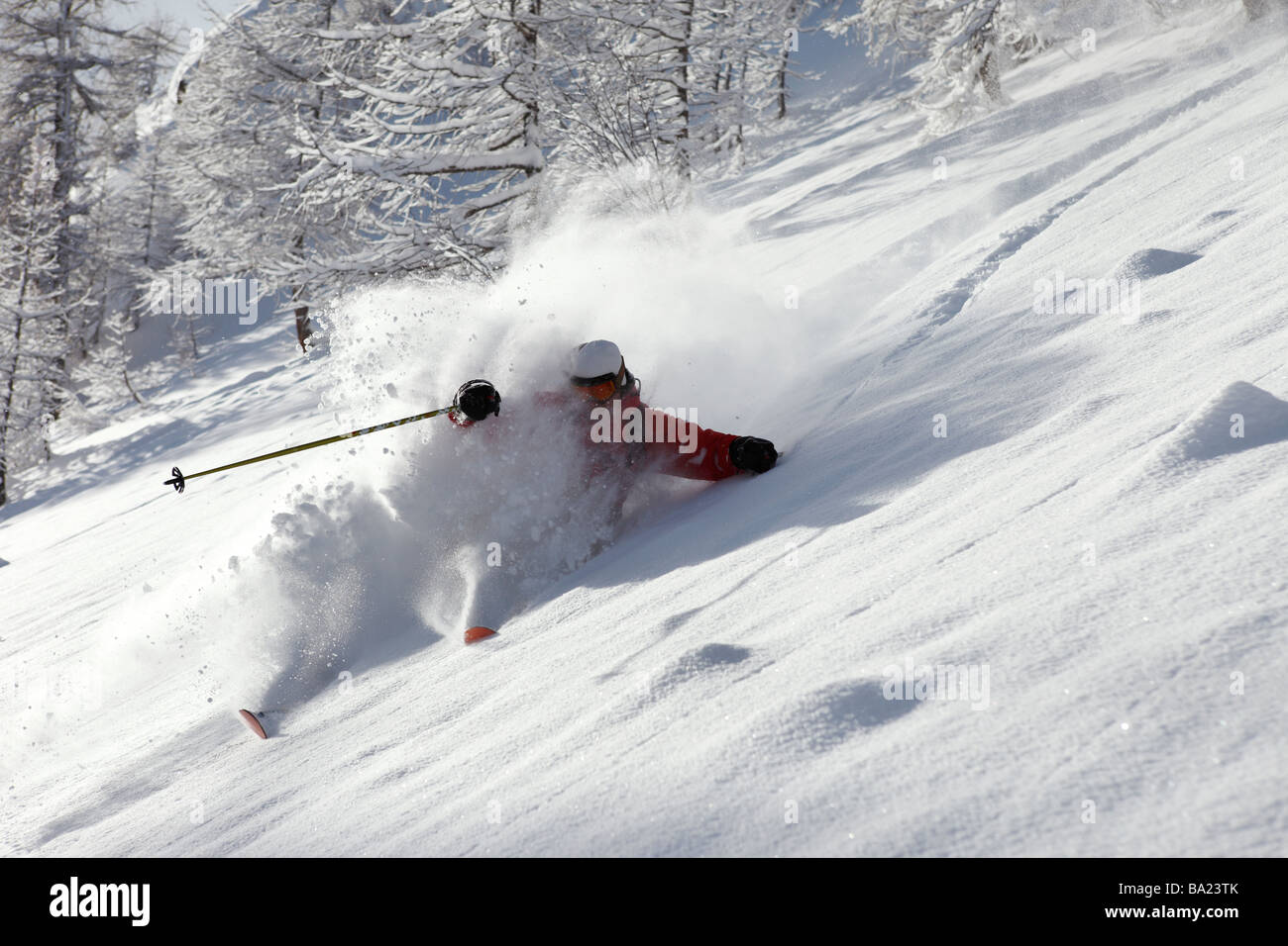 Off piste tree skiing after fresh snow in the ski resort of Tignes ...