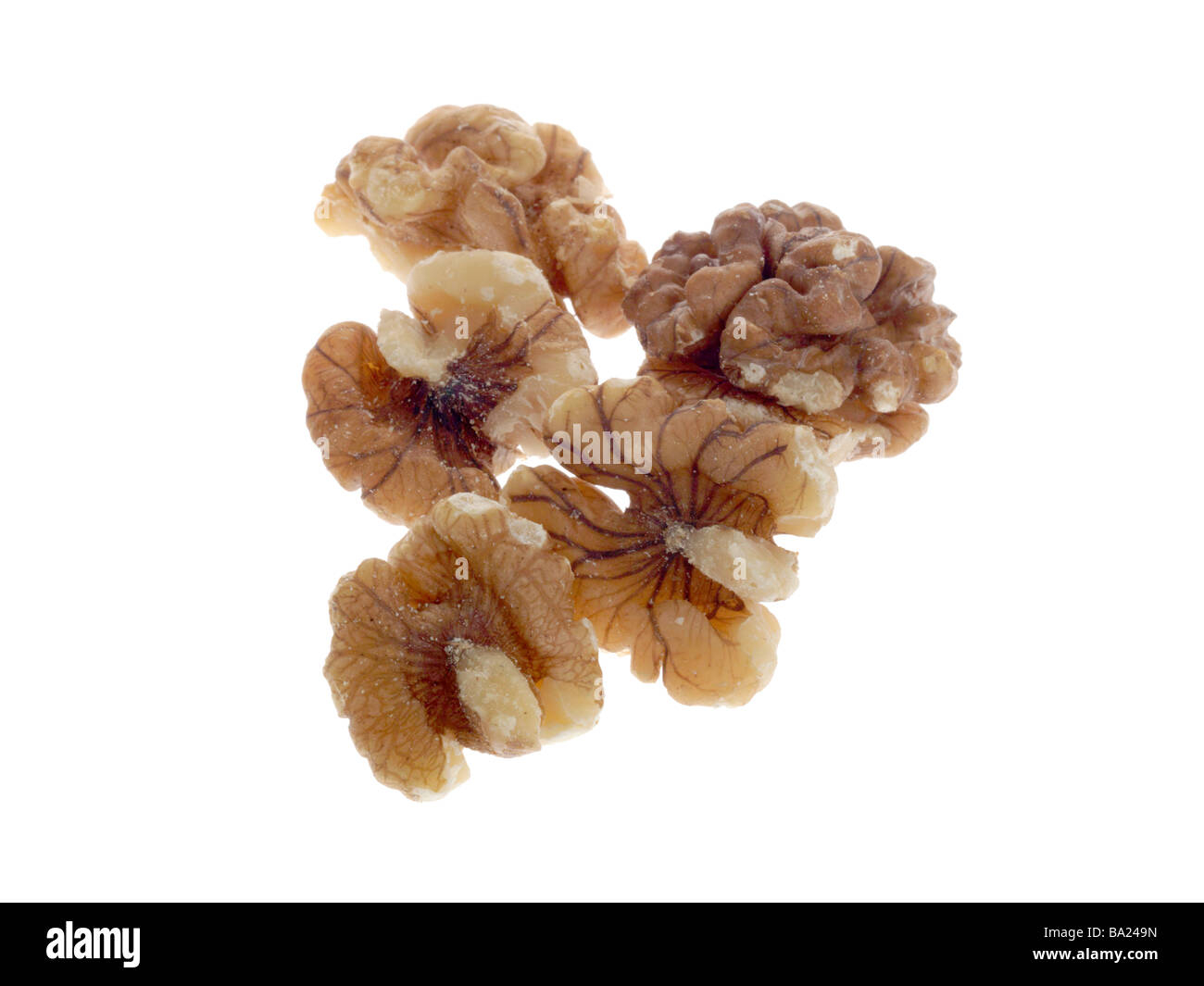Six walnuts hi-res stock photography and images - Alamy