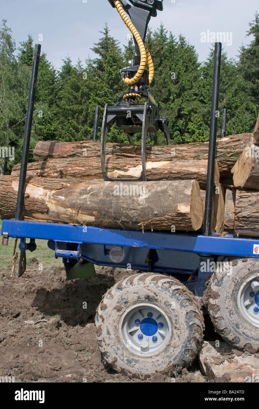 loading logs onto truck Stock Photo - Alamy