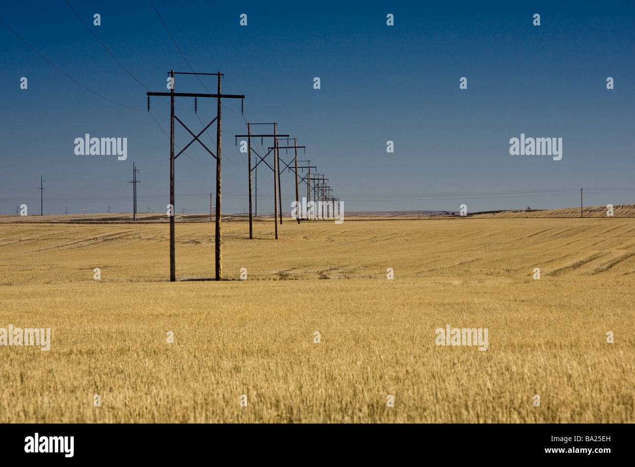 Transmission lines across the prairie near Shelby, Montana Stock Photo ...