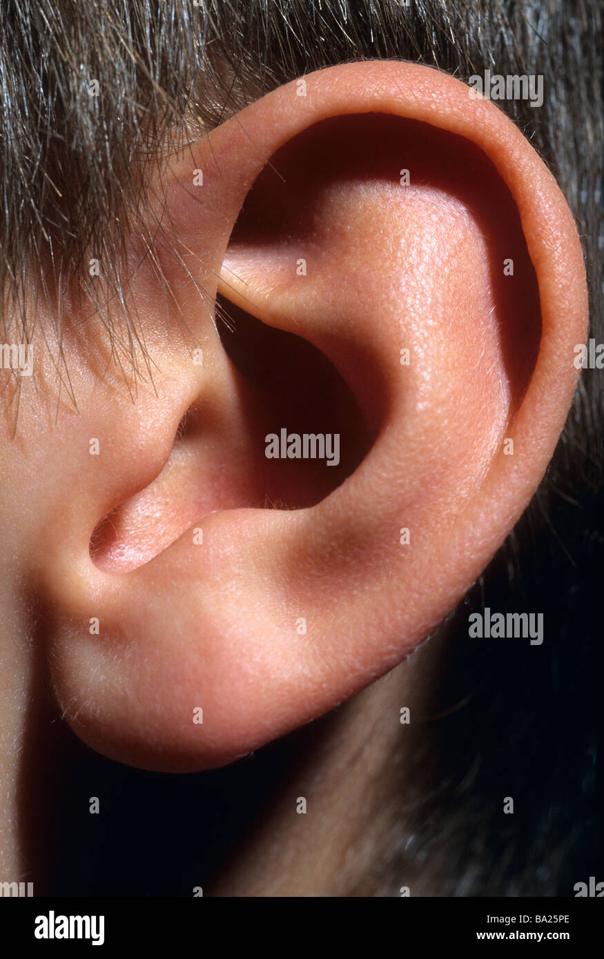 Ear child anatomy hi-res stock photography and images - Alamy