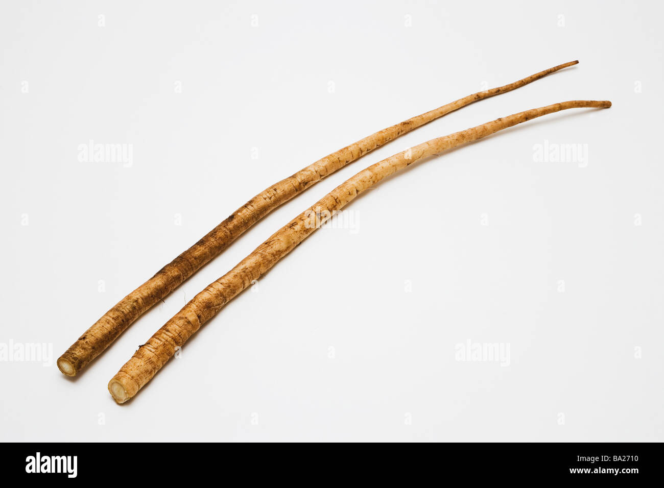 Budrock hi-res stock photography and images - Alamy Budrock hi-res stock photography and images - Alamy