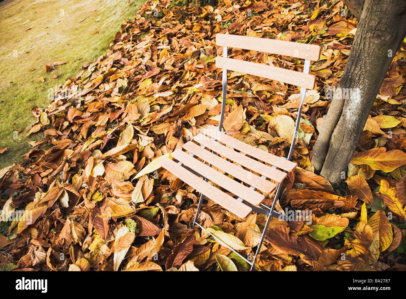 Park Chair in the Autumn Stock Photo - Alamy