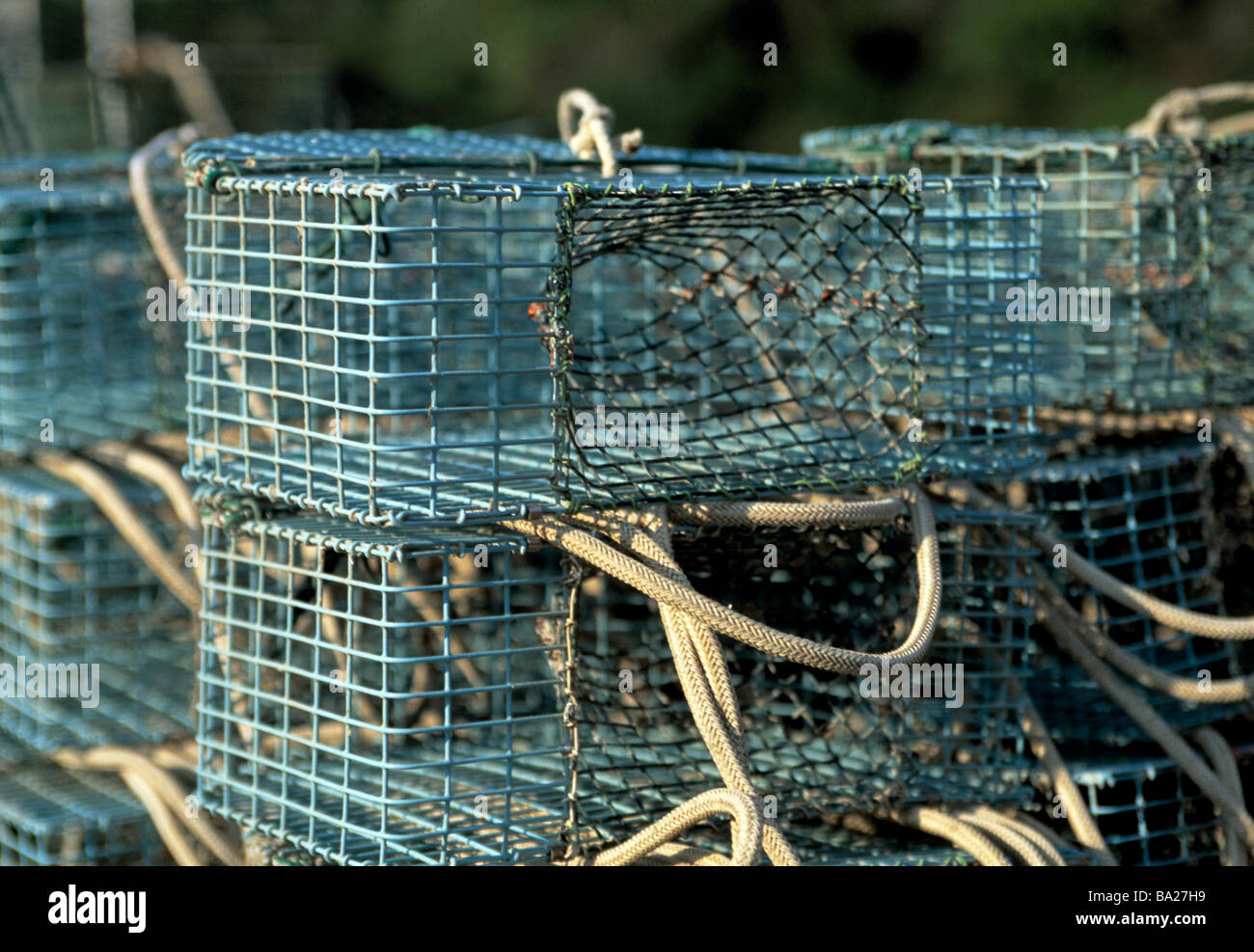 meshed metal trap used to catch small sea crustaceans Stock Photo - Alamy