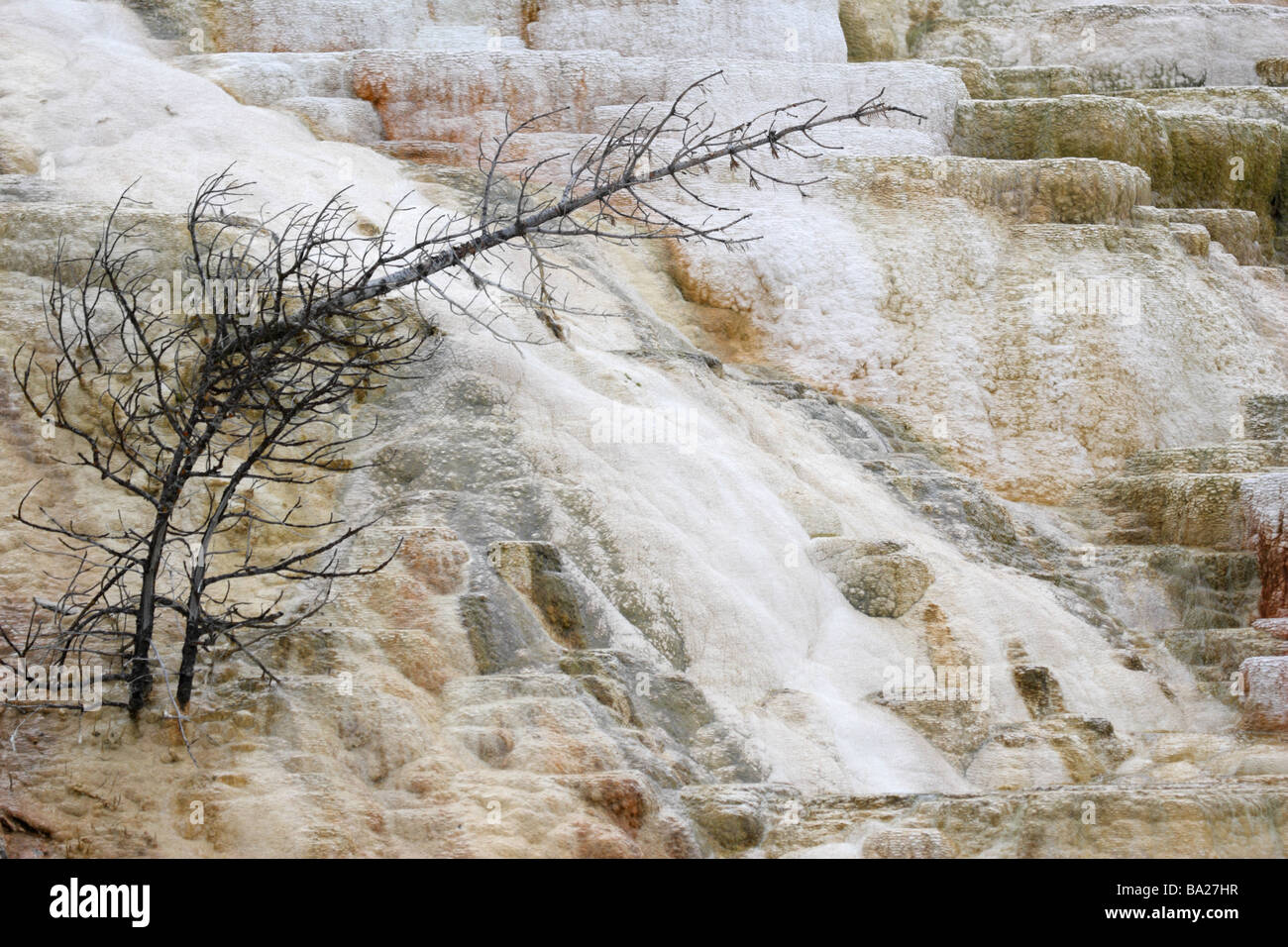 Mammoth Hot Springs Terraces in the fall in Yellowstone National Park ...