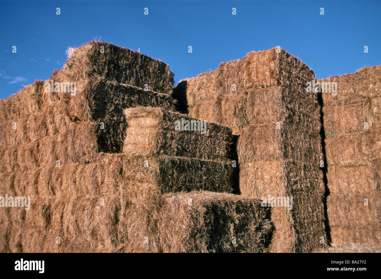Straw-bale stack detail straw-harvest harvest harvest straw bale ...