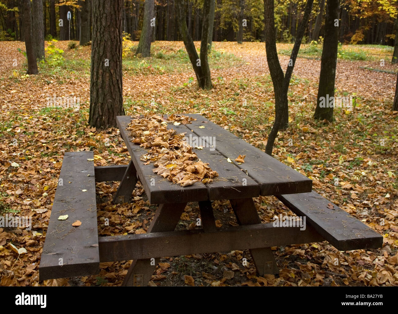 Empty park at fall Stock Photo - Alamy