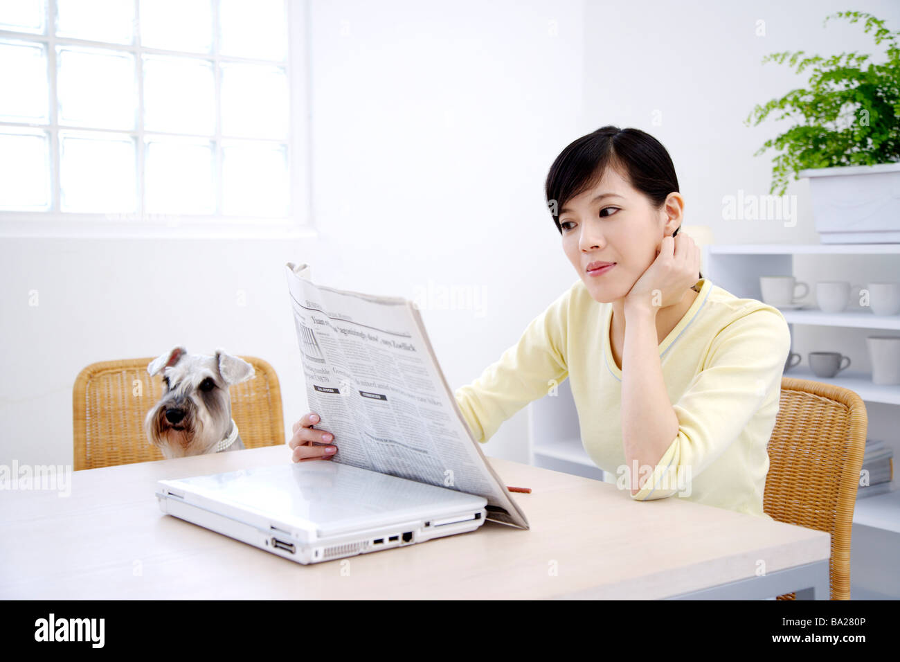 Young woman reading newspaper at table Wire Fox Terrier sitting next ...
