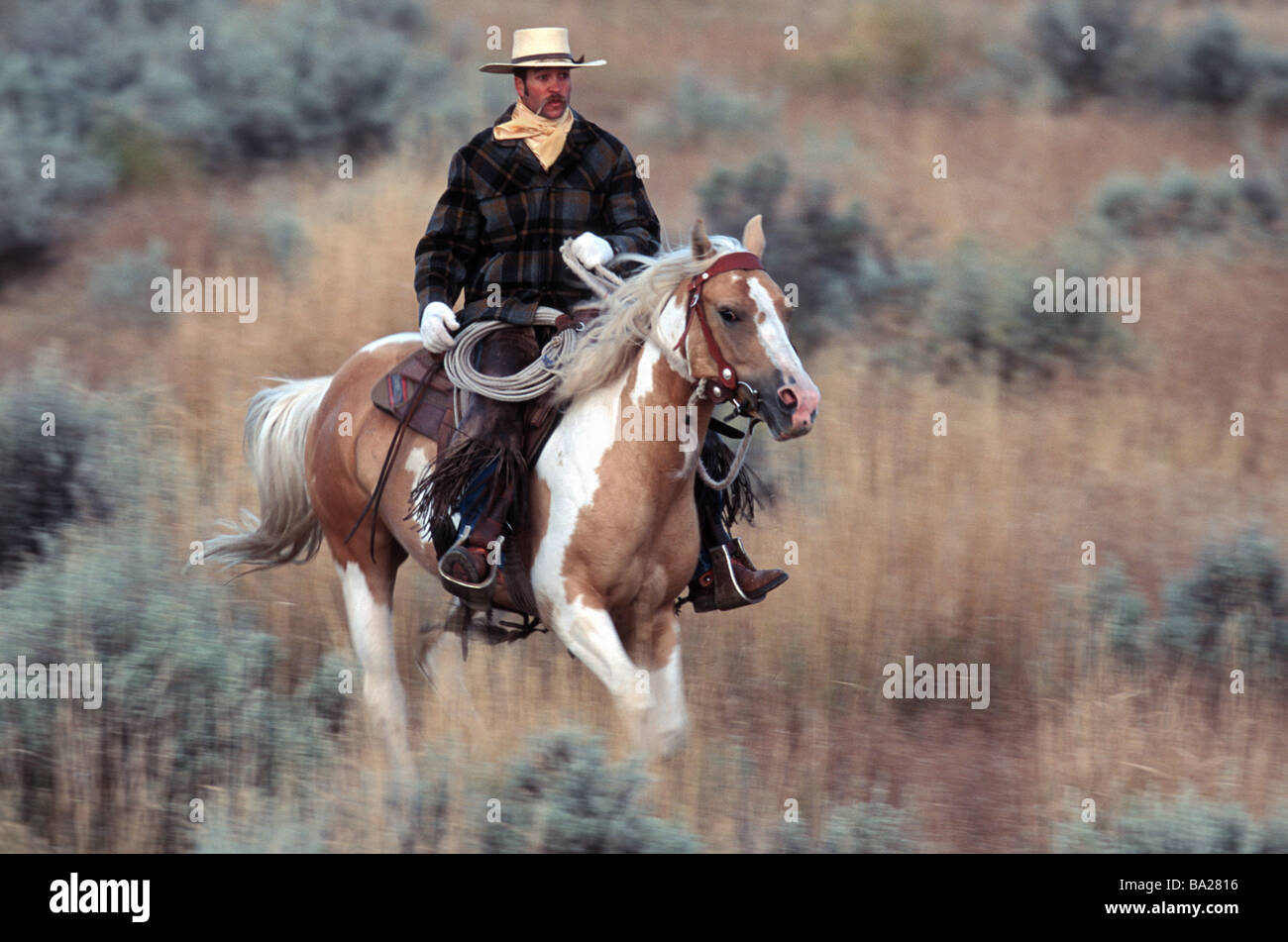 USA Oregon cowboy horse movement North America landscape farm-country ...