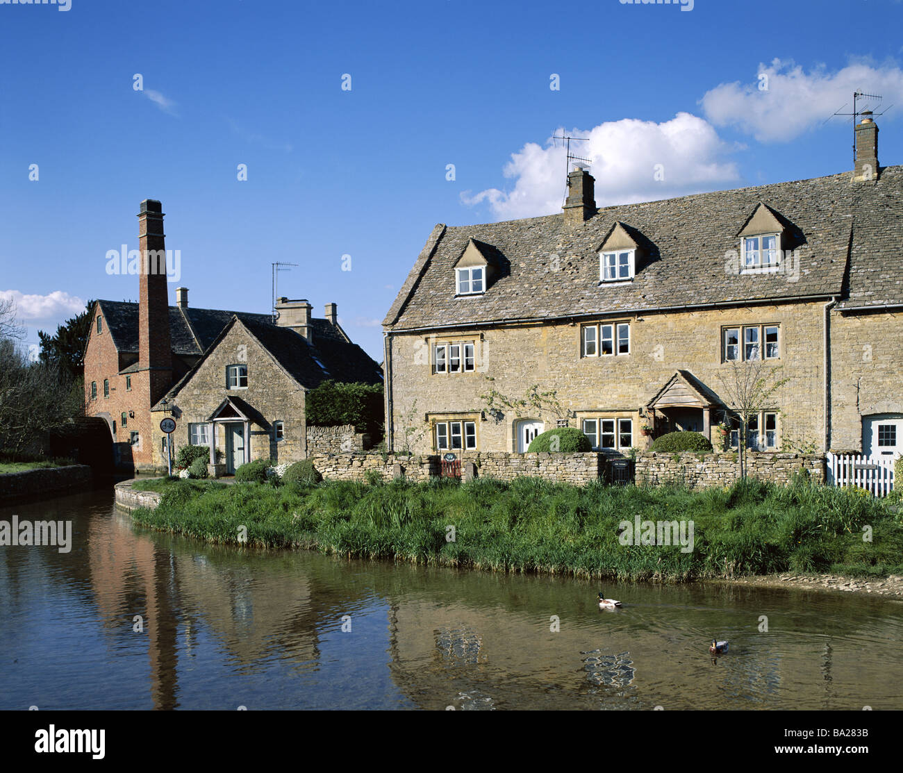 Slaughter of ducks hi-res stock photography and images - Alamy