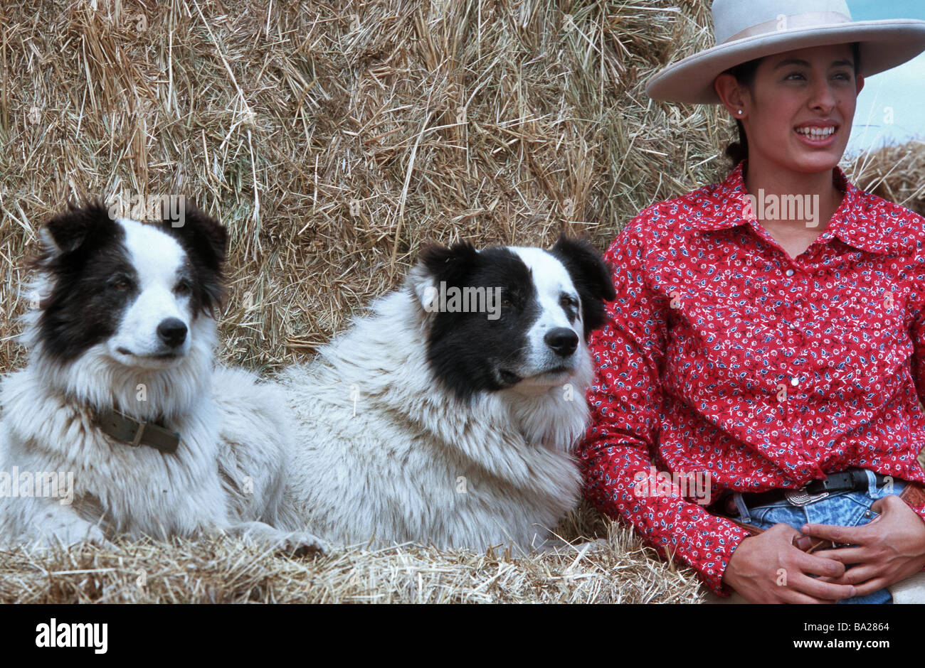 USA Oregon straw-bale Cowgirl dogs caresses detail North America straw ...