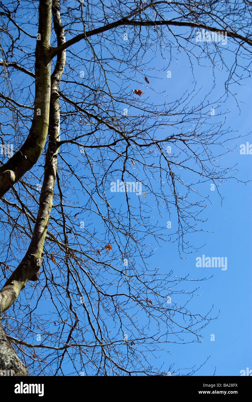 Portrait format sky hi-res stock photography and images - Alamy