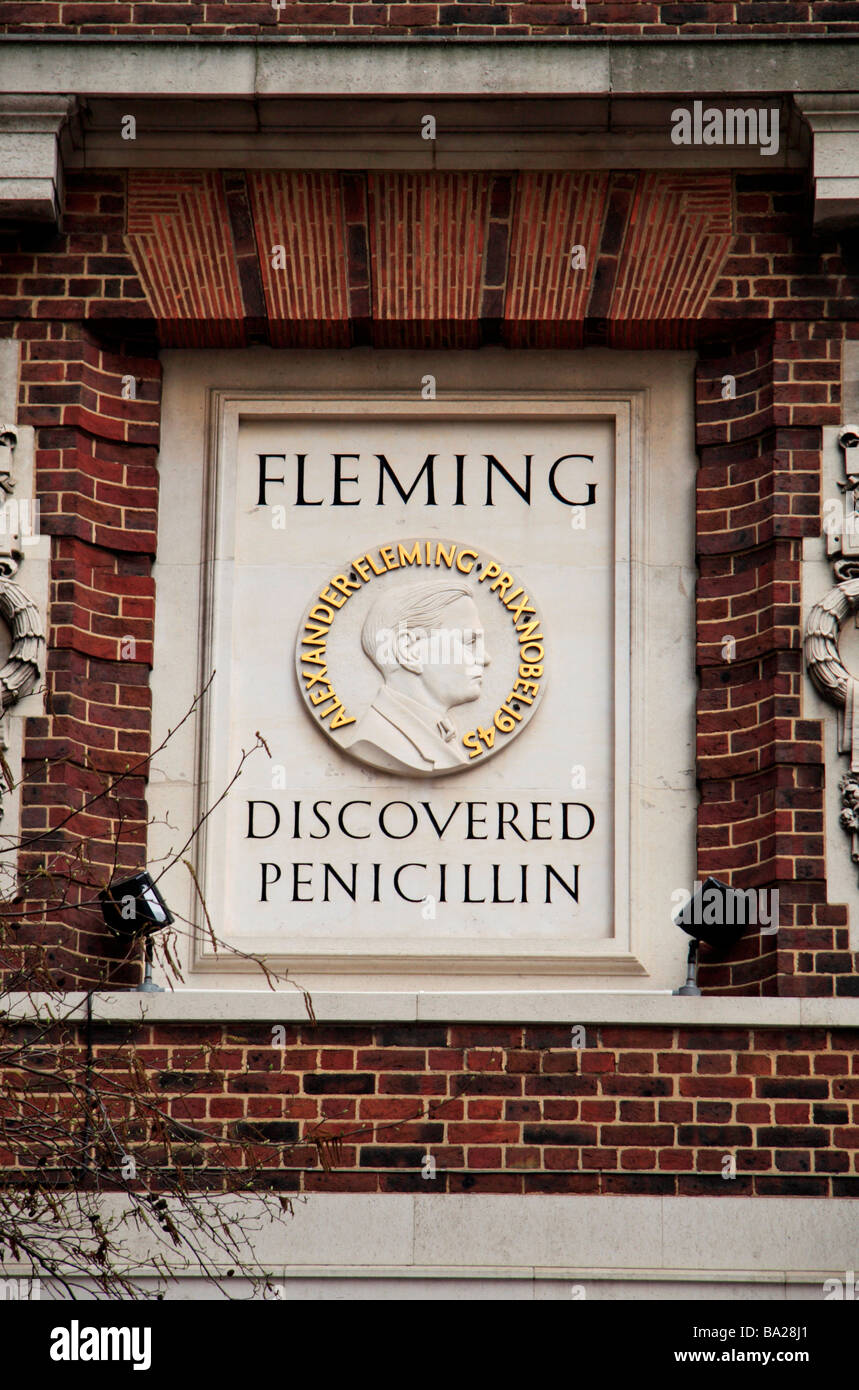 A large memorial plaque on the St Mary's Hospital building in which ...
