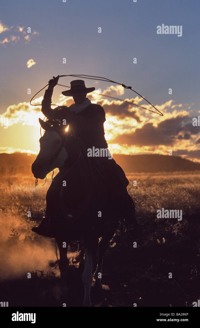 USA Oregon silhouette cowboy horse lasso sunset tosses North America ...