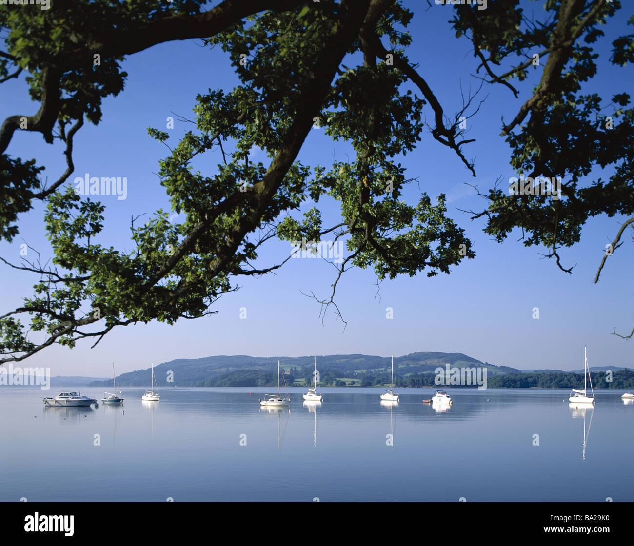 Windermere branch hi-res stock photography and images - Alamy