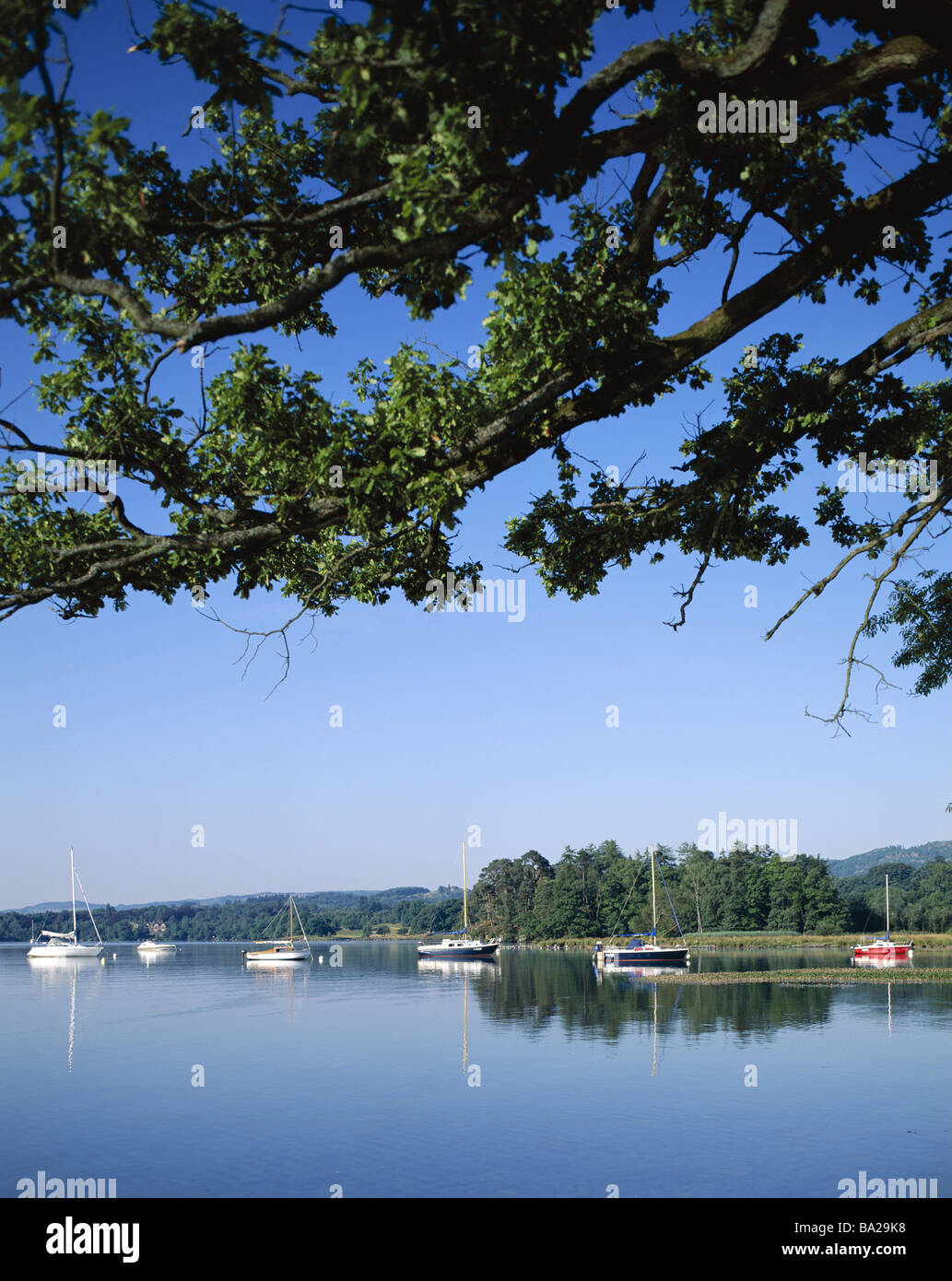 Windermere branch hi-res stock photography and images - Alamy