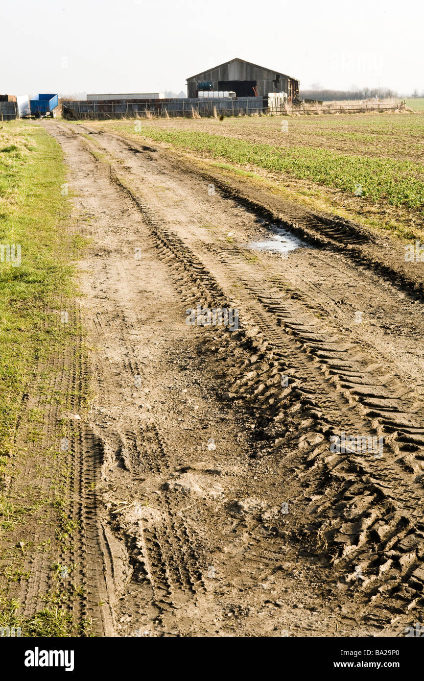 Tractor track farming hi-res stock photography and images - Alamy